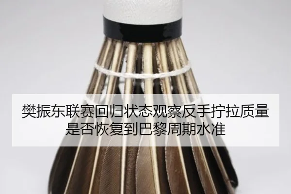 樊振东联赛回归状态观察反手拧拉质量是否恢复到巴黎周期水准 - 南宫娱乐